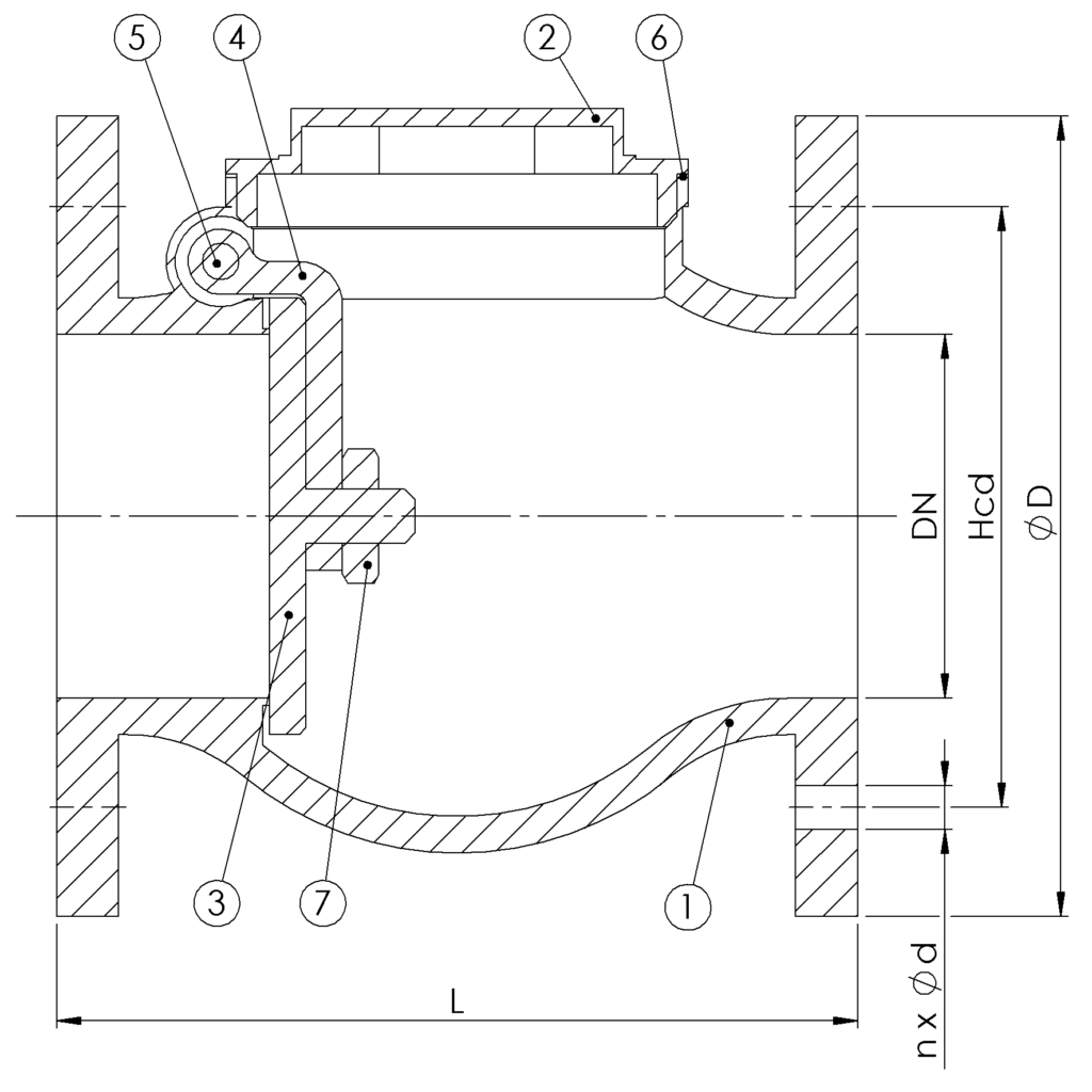 Swing Check Valve DN50 PN16 | Nor-Am Management LLC