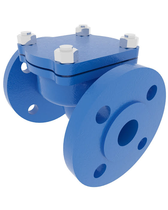 Lift Check Valve DN150 PN16 | Nor-Am Management LLC
