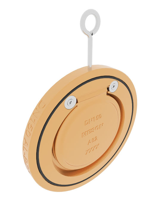 Swing Check Valve DN100 PN16 | Nor-Am Management LLC