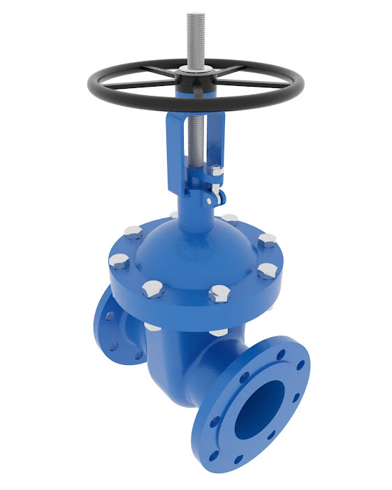 Gate Valve DN50 PN63 | Nor-Am Management LLC
