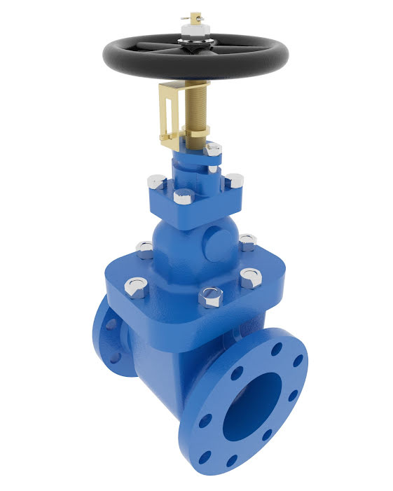 Gate Valve DN100 JIS 5K | Nor-Am Management LLC