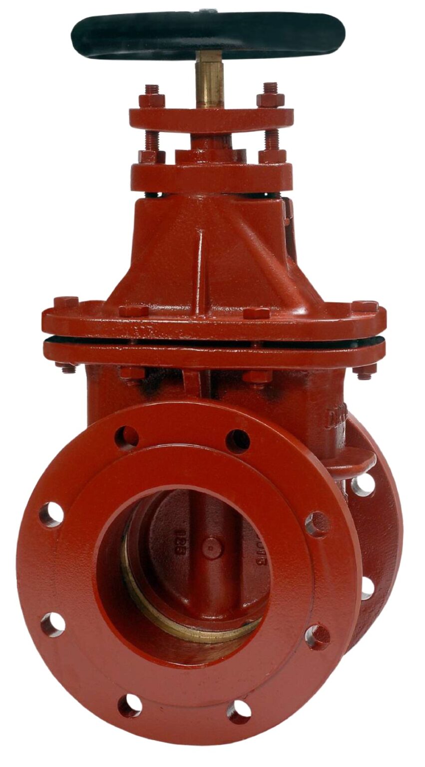 Gate Valve DN50 PN16 | Nor-Am Management LLC