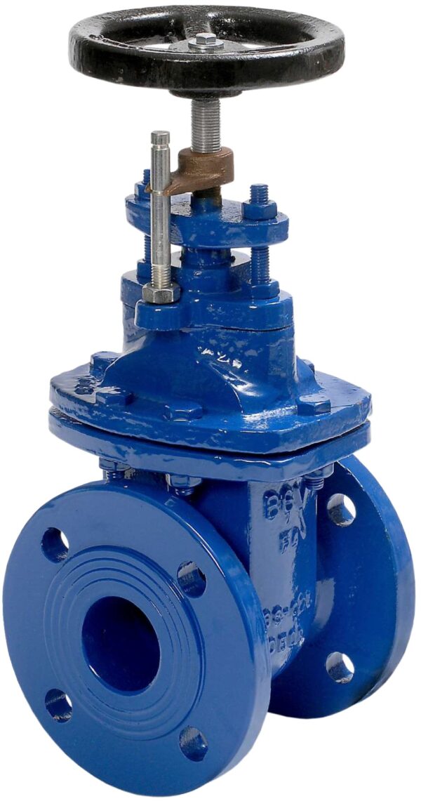 Gate Valve DN250 PN10 | Nor-Am Management LLC
